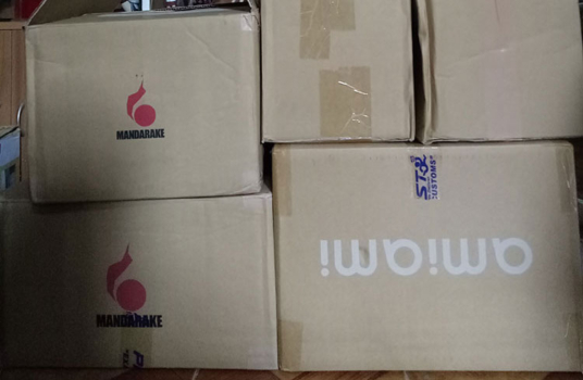 How to Store Your Anime Figure Boxes - The NekoFigs Blog
